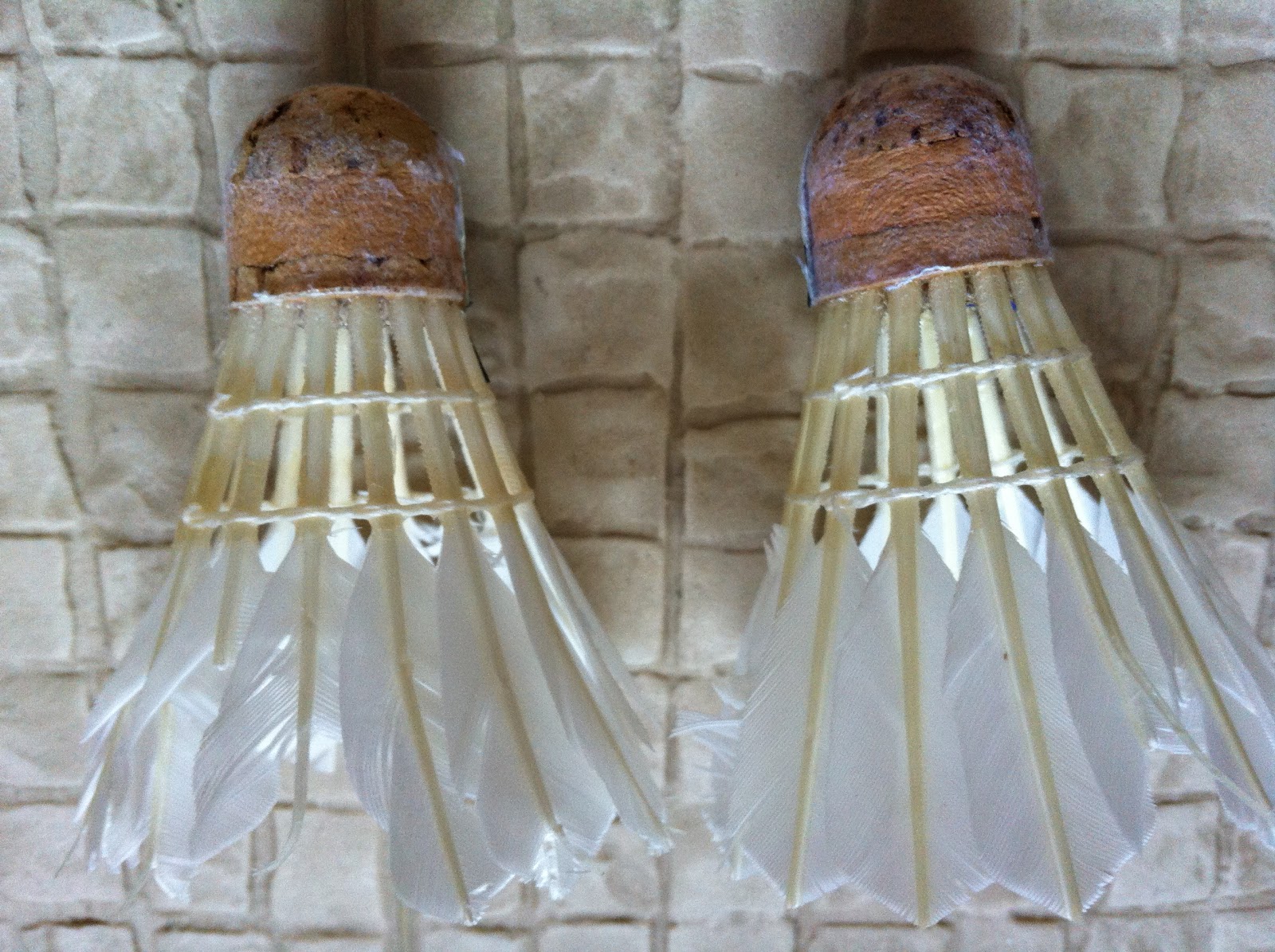 Shuttlecocks for Badminton: November 2013